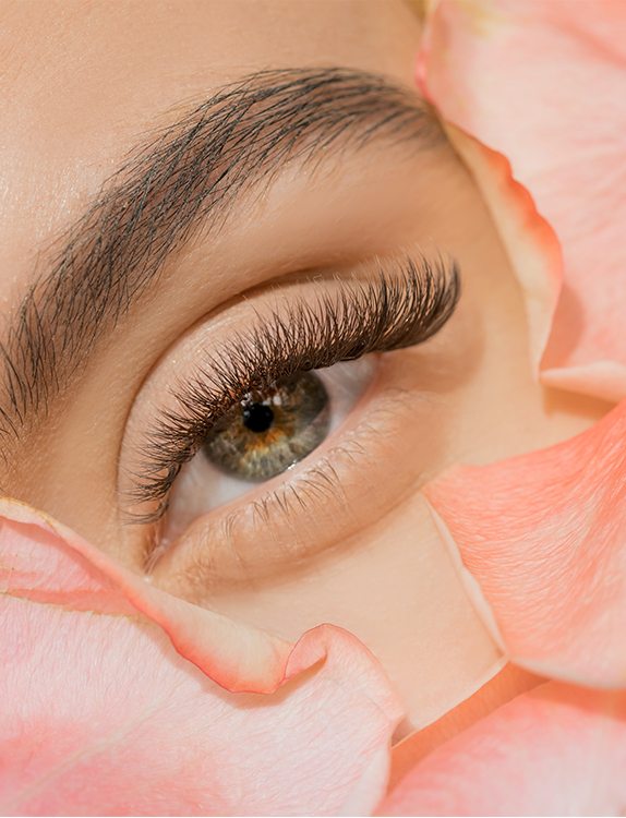 Bameier False Eyelashes Co,Ltd